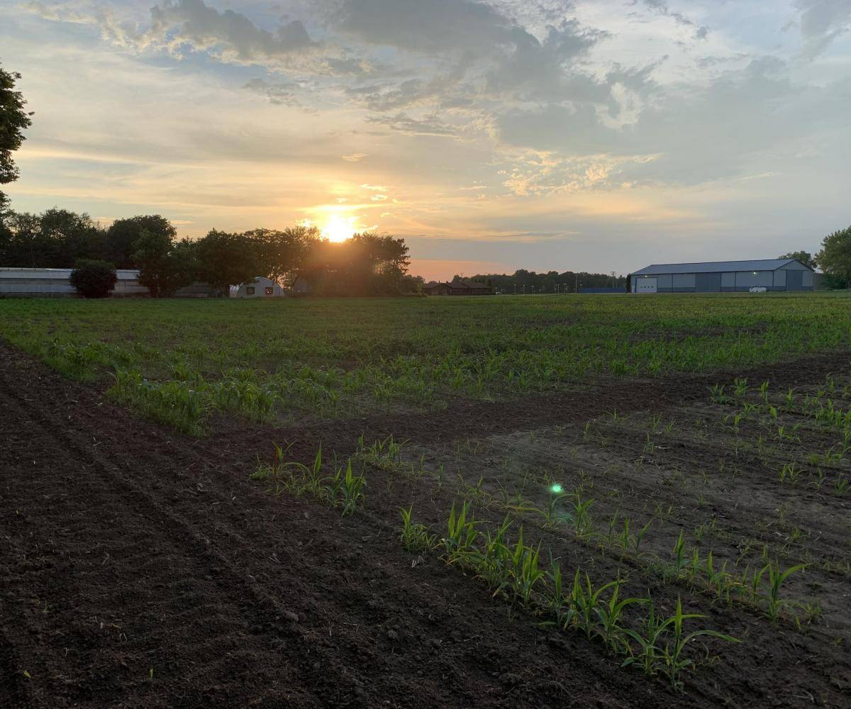 Who We Are - Illinois Farm Link