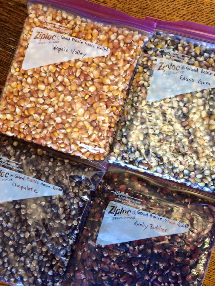 On-Farm Variety Trials: Planning It Out - The Land Connection