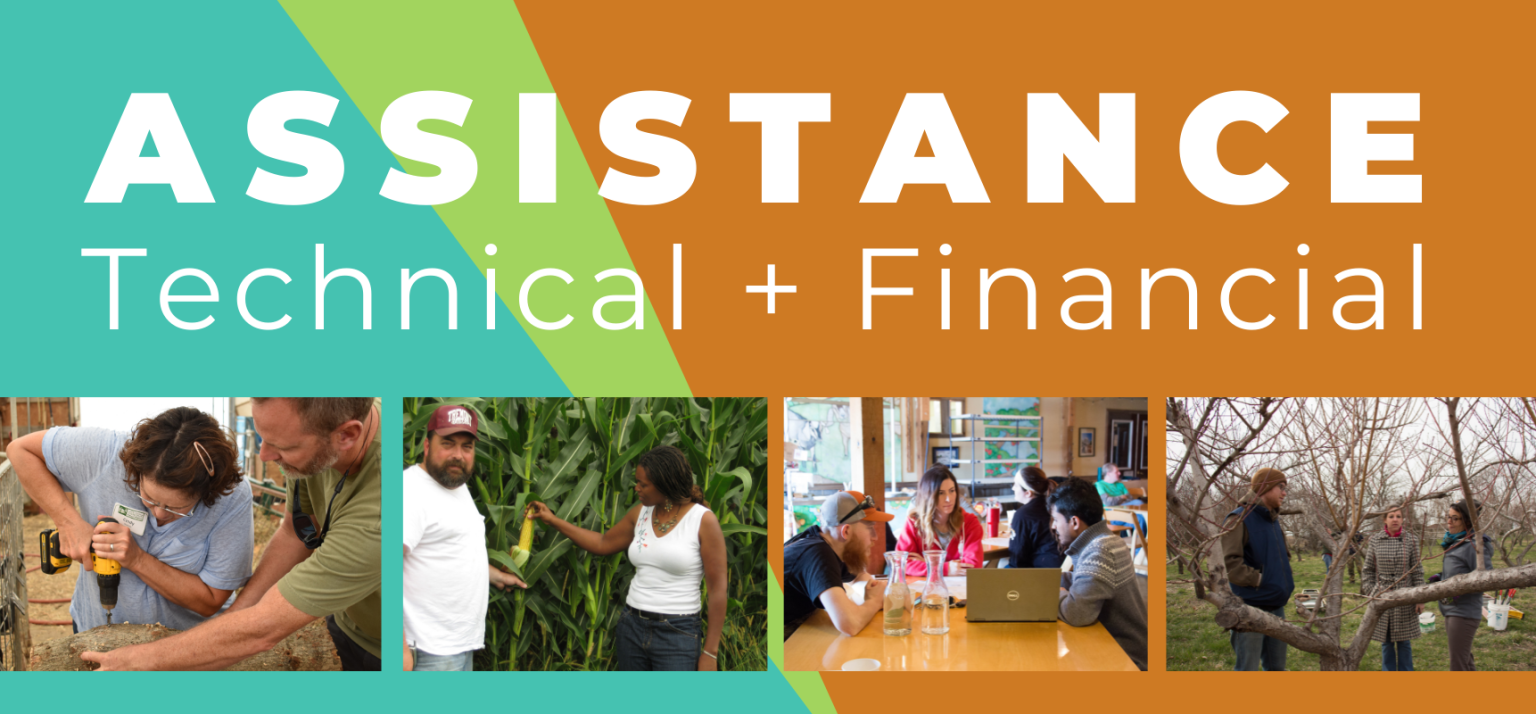 Assistance - The Land Connection