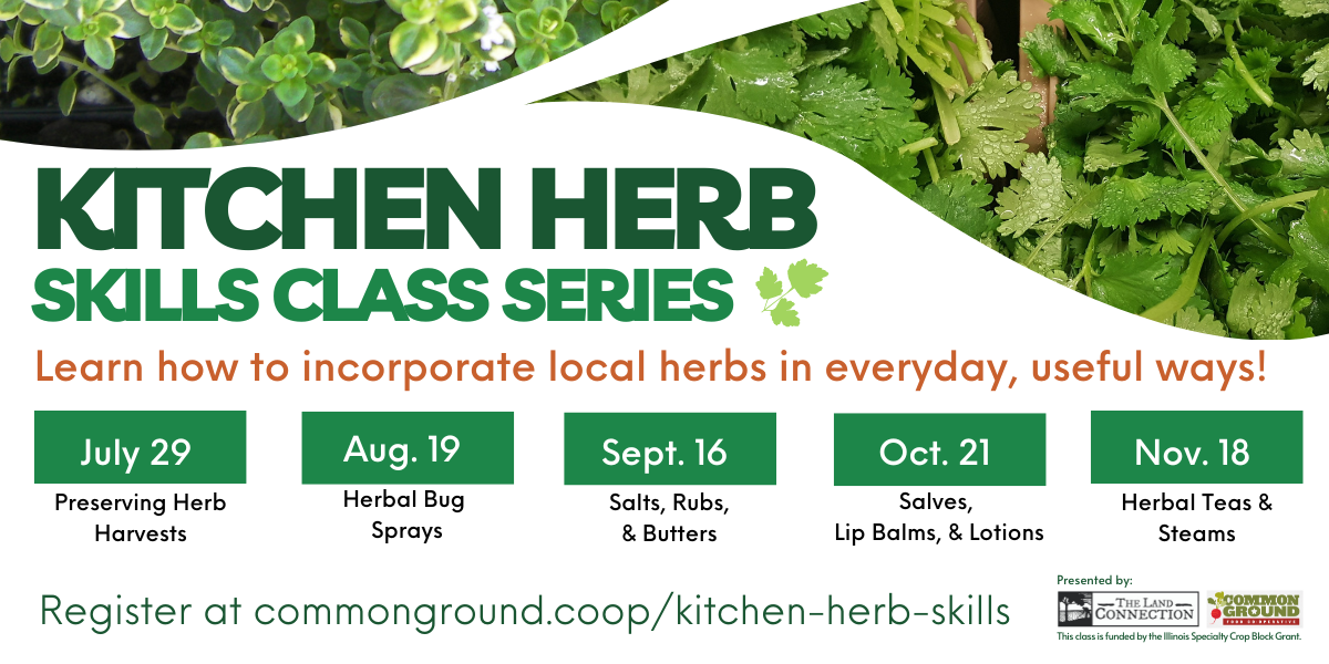Kitchen Herb Skills | Class Series 2023 - The Land Connection