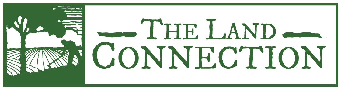 2025 Midwest Mechanical Weed Control Field Day - The Land Connection